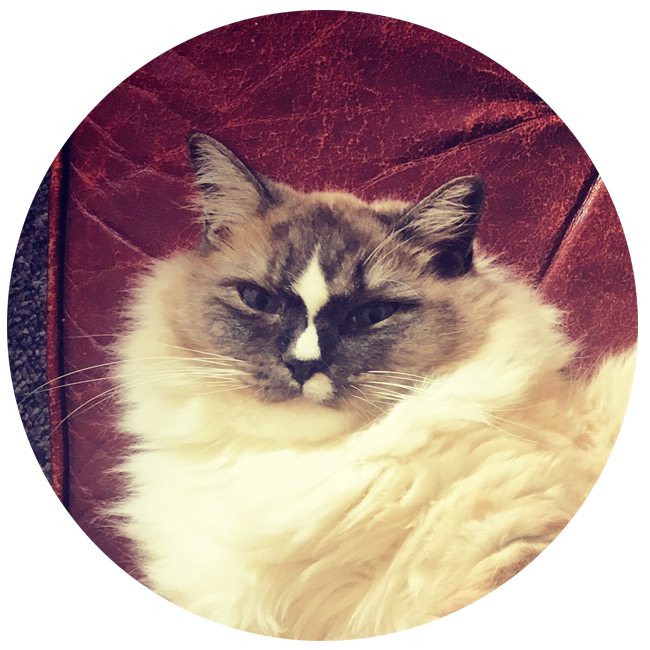 4 Vital Gravatar Tips to Get Your Comments Clicked & Noticed - Blog Tyrant