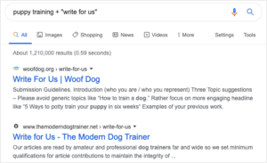 Your Ultimate Guide to Guest Posting For SEO Wins in 2024