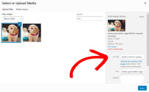 15 Stock Photo Sites to Download Free Images for Blogs 2025