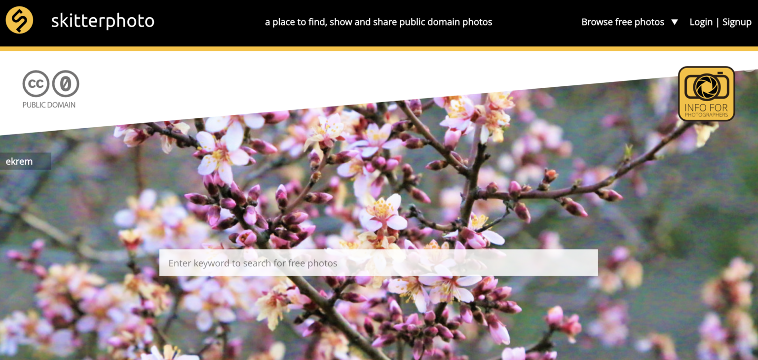 15 Stock Photo Sites to Download Free Images for Blogs 2025