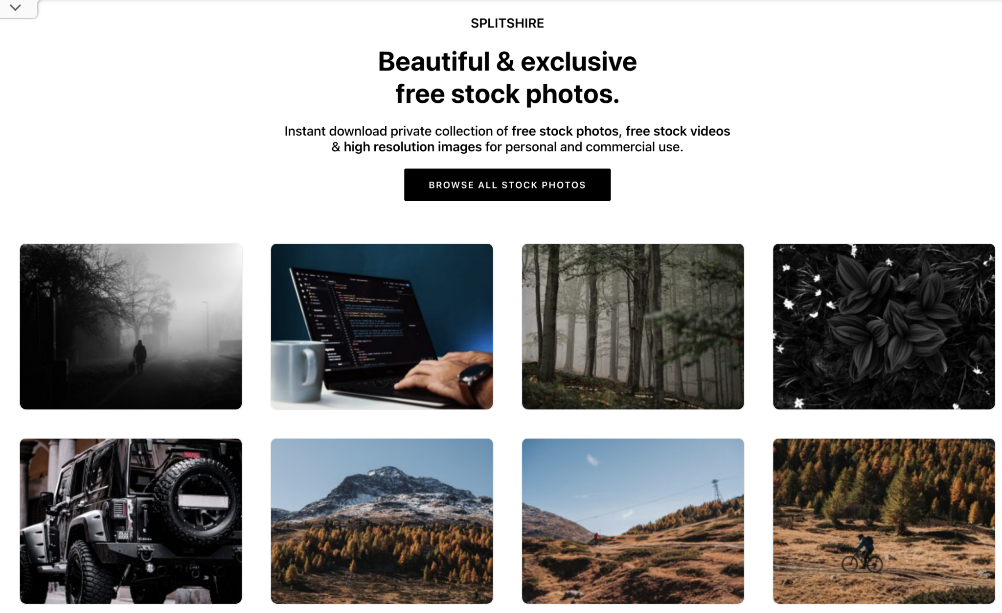 15 Stock Photo Sites to Download Free Images for Blogs 2025