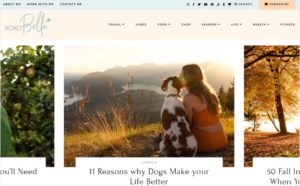 17 Best Ultra-Successful Blogs (Ideas You Can Steal)