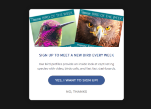 How to Increase Email Open Rates for Your Newsletter (10 Tips)