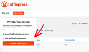 15 Amazing Blog Giveaway Ideas to Grow Your Website in 2024