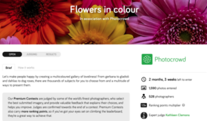 15 Amazing Blog Giveaway Ideas to Grow Your Website in 2024