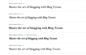 13 Best Fonts For Blogs: Choose Your Typeface in 2024