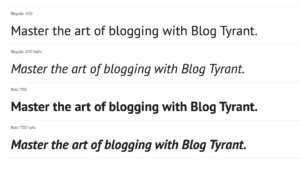 13 Best Fonts For Blogs: Choose Your Typeface in 2024